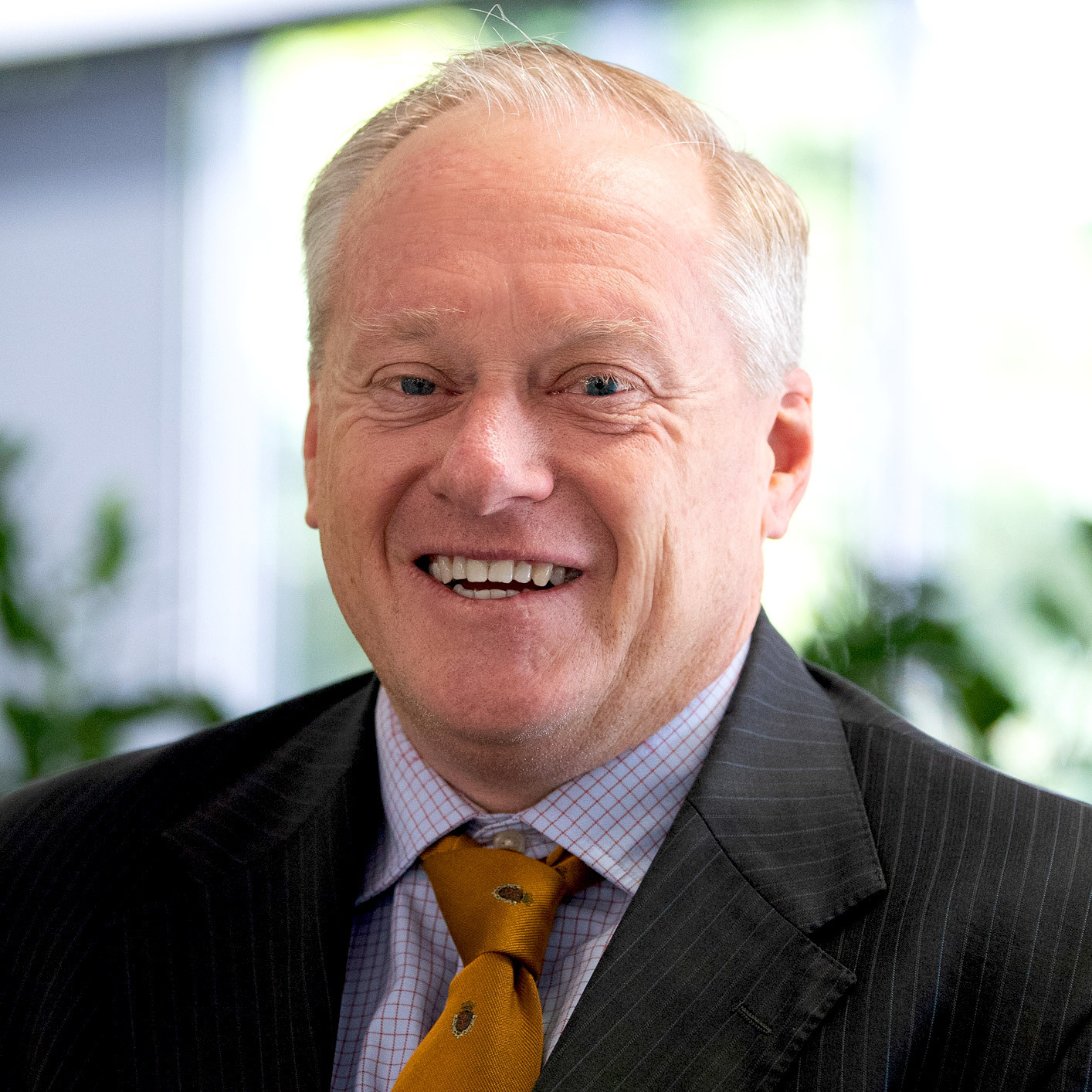 Board and executives | CSQ